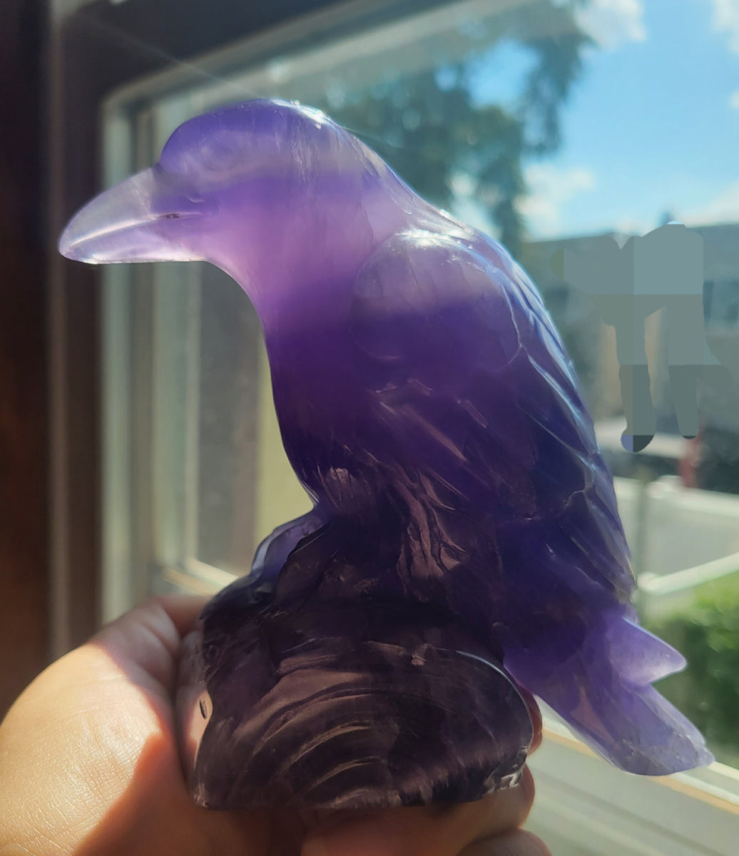 Indigo Fluorite Raven, Crow, Crystal Carving with beautiful Banding, G ...